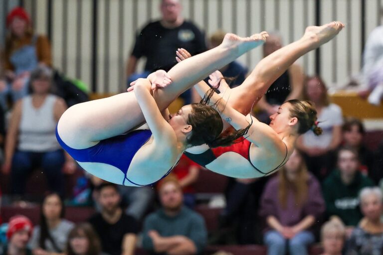 Saskatoon Diving Club